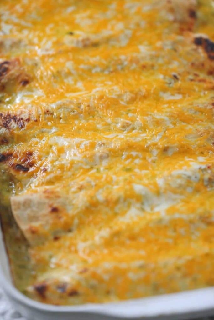 Green Chili Chicken Enchiladas Recipe